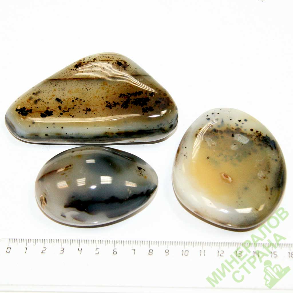 Mineral Land